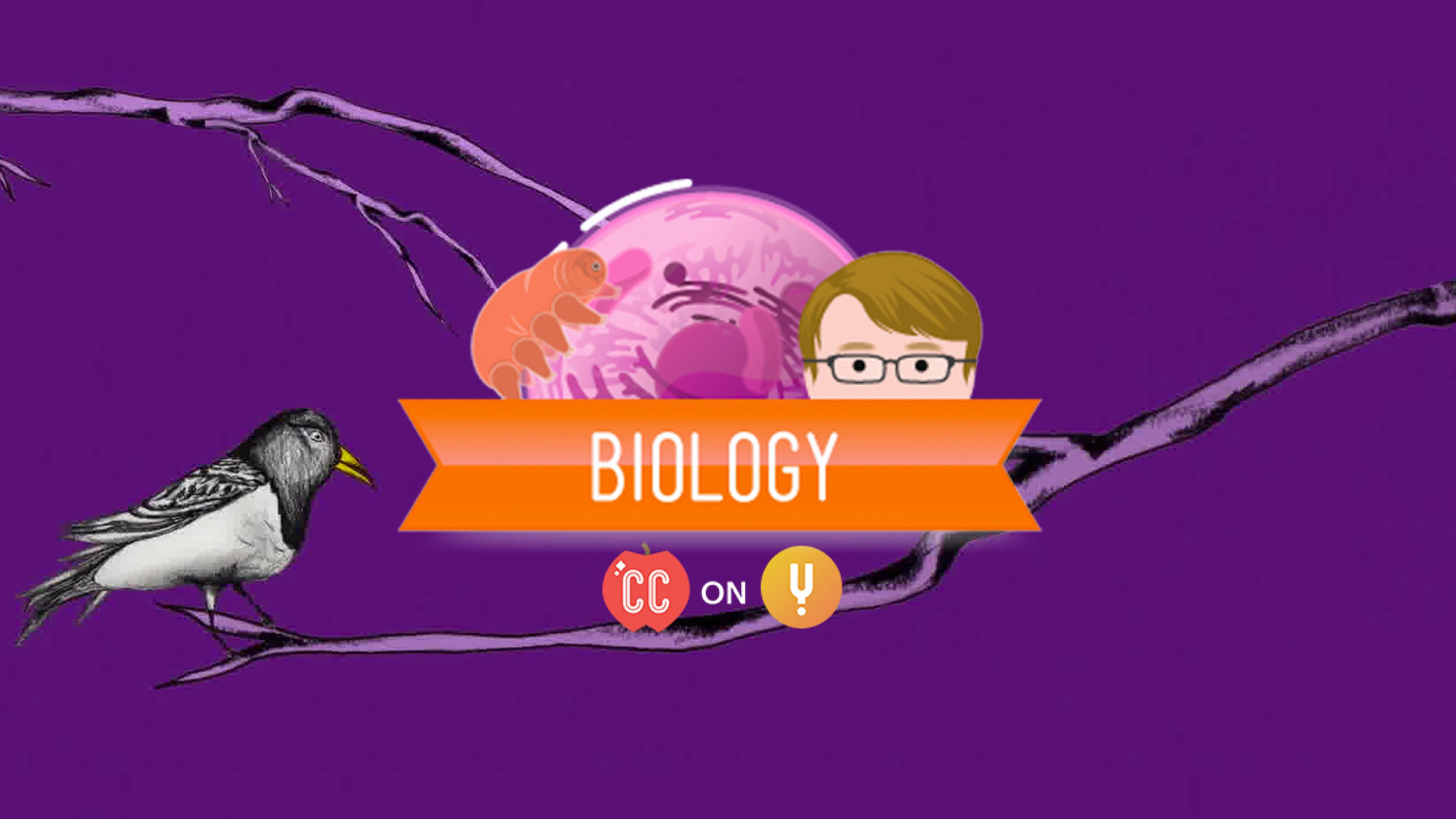 Curiosity Stream Speciation Of Ligers Men Crash Course Biology 15