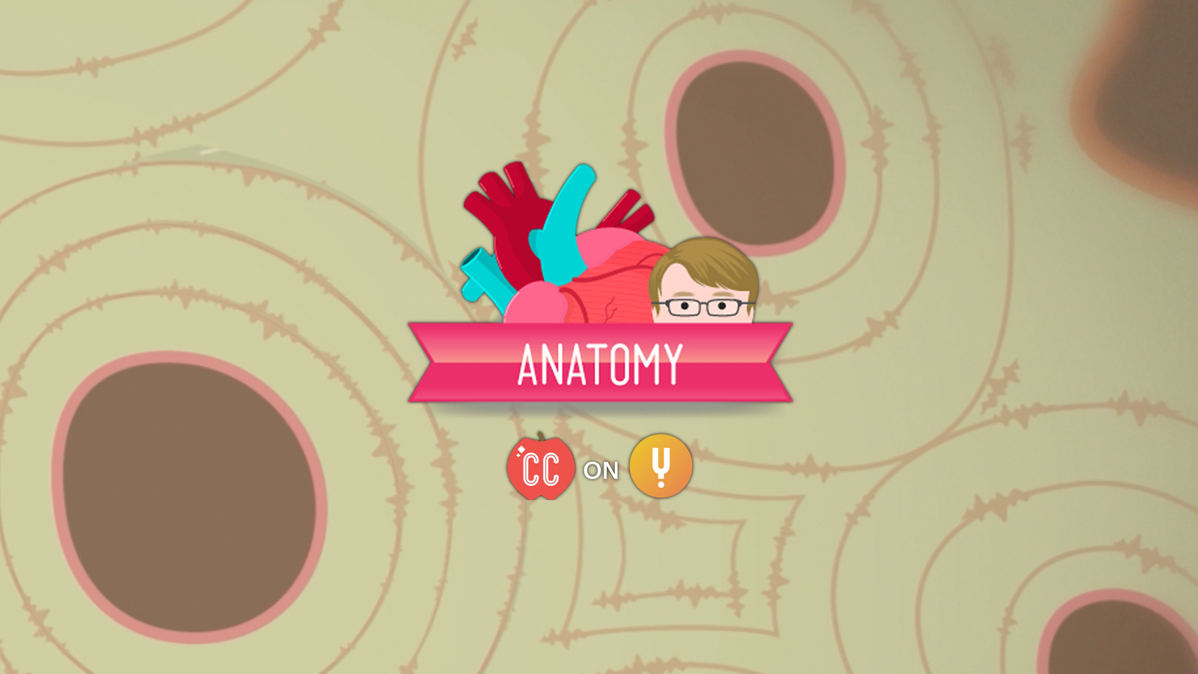 Curiosity Stream The Skeletal System Crash Course A P 19