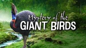 Curiosity Stream - The World In 4K