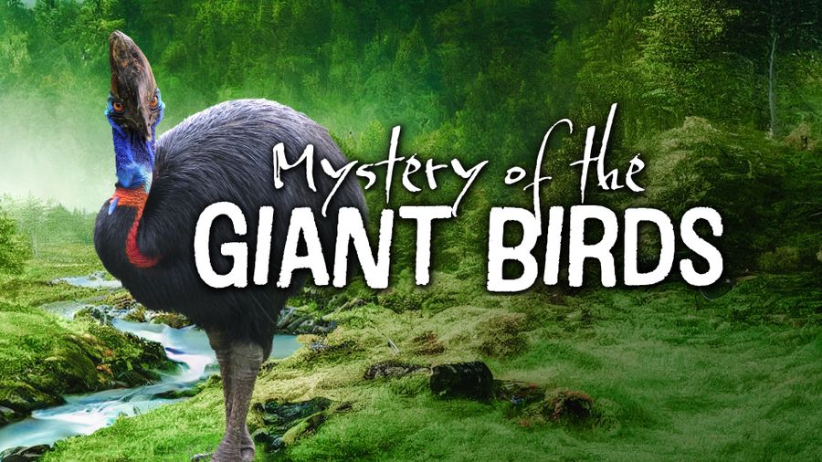 Curiosity Stream - The World In 4K